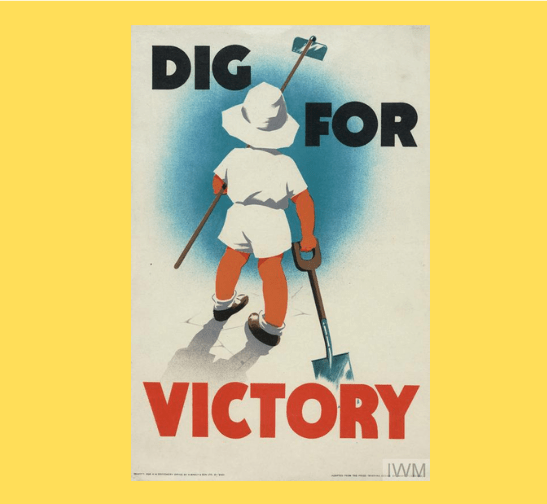 Plan Your Visit - East Surrey Museum